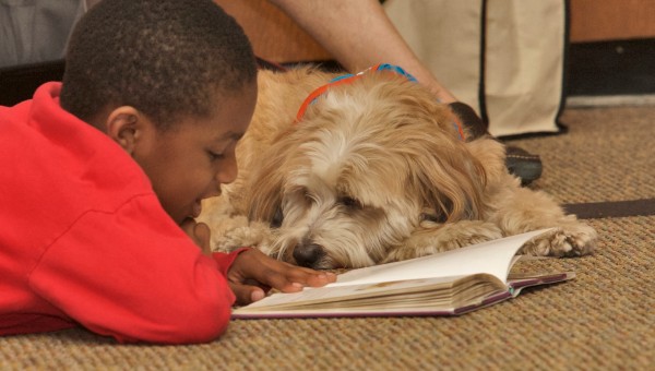 Storytime with Dogs – Children's Book Council
