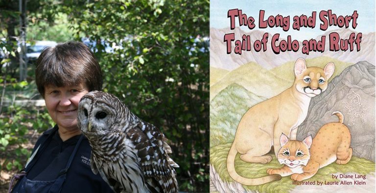 Beyond the Page: Diane Lang – Children's Book Council